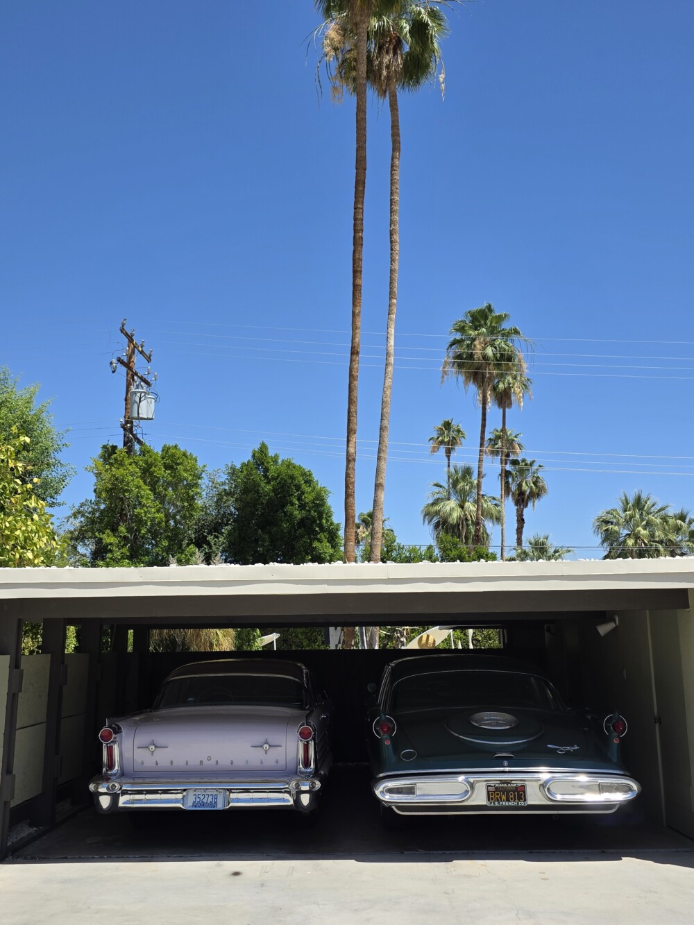 REPORTAGE – À la découverte de Palm Springs, destination iconique dans ...